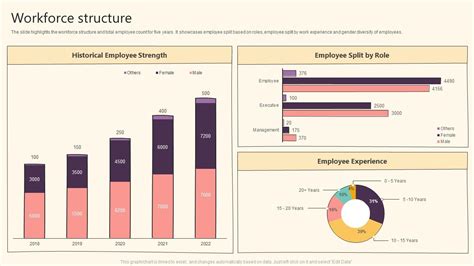 Workforce Structure It Solutions Company Profile Ppt Styles Design Templates Ppt Powerpoint