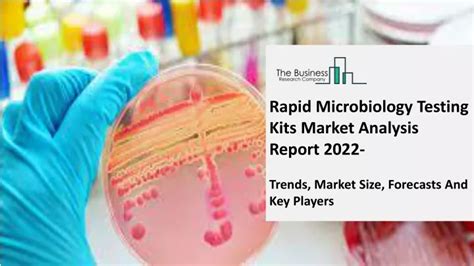 PPT Rapid Microbiology Testing Kits Market Estimated Growth Curve PowerPoint Presentation ID