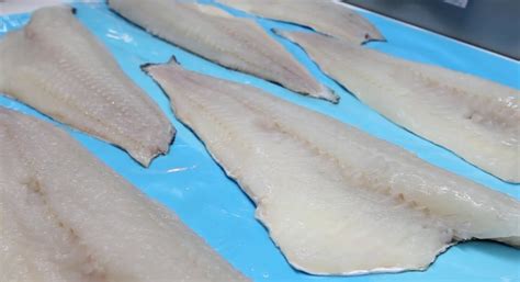 Royal Greenland Introduces Nutaaq Cod To Us Market In Bjs Clubs