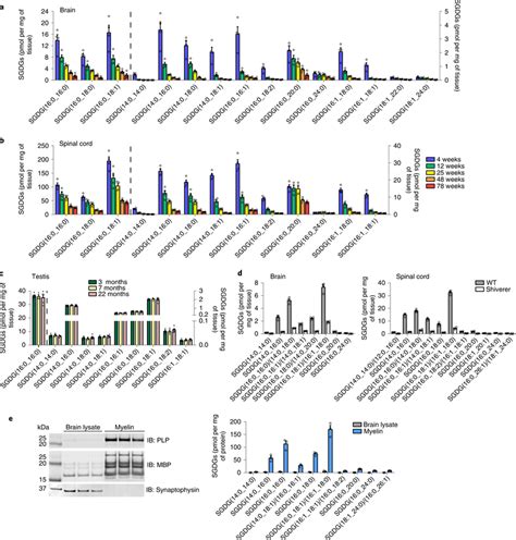 quantification of sgdgs in mouse tissues a b quantification of sgdgs