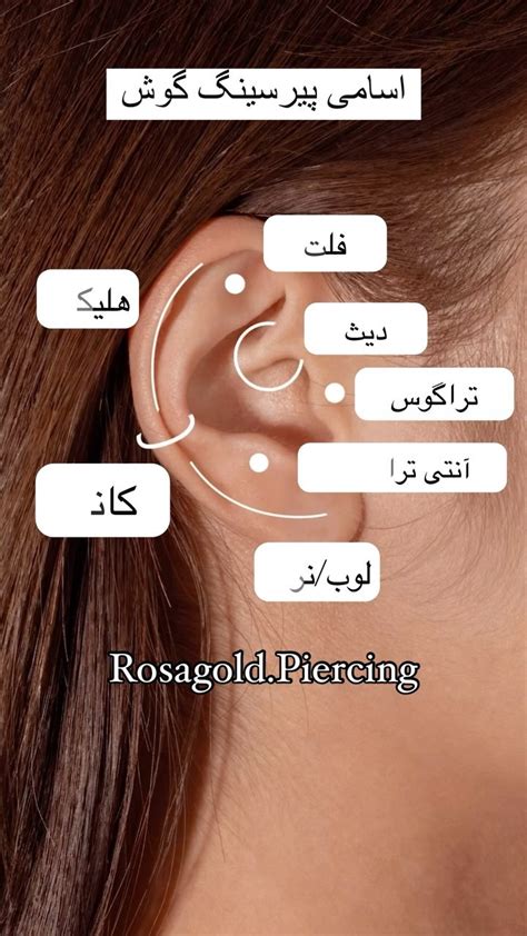 ‎پیرسینگ طلا میکرودرمال طلا سارفیس طلا‎ ‎حتما سیوش کن چون به کارت