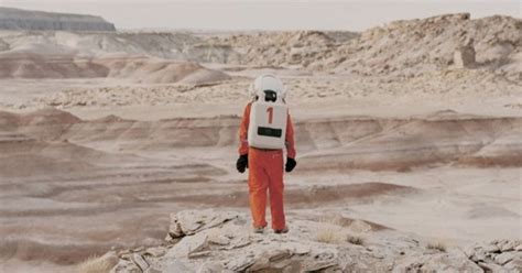 소설 박상영 알려지지 않은 예술가의 눈물과 자이툰 파스타·고은주 시나몬 스틱·이기호 목양면 방화 사건 전말기