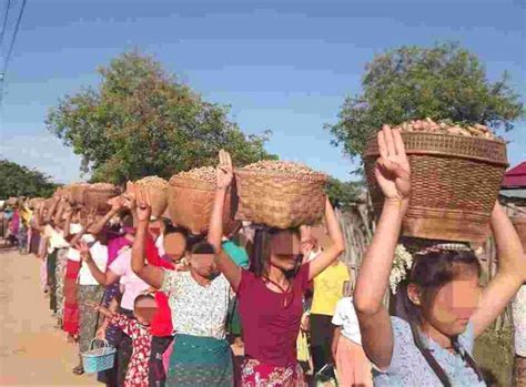 မြိုင်မြို့နယ်ရှိ ပြည်သူများက ပခုက္ကူခရိုင် အမှတ် ၆ တပ်ရင်းထံ မြေပဲသီးန