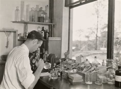 The Evolution Of Microscopes Unraveling The Fascinating History