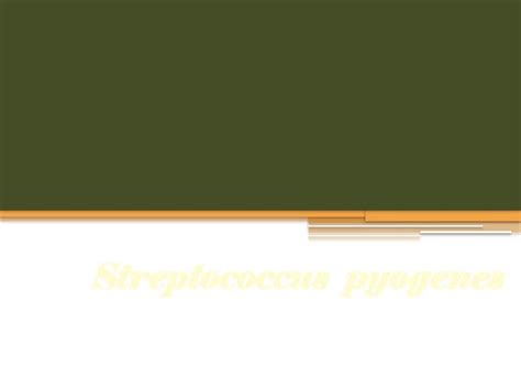 Streptococcus Pyogenes Is One Of The Most Frequent Pathogens Of Humans