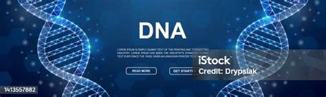 머리 승진 기치를 위한 Dna 나선형 다각형 상징 수평 로우 폴리 포스터 일러스트레이션 생명 공학 나선 디자인 템플릿 일러스트 개념 3차원 형태에 대한 스톡 벡터 아트 및