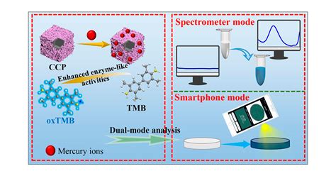 Integrated Design Of A Dual Mode Colorimetric Sensor Driven By Enzyme Like Activity Regulation