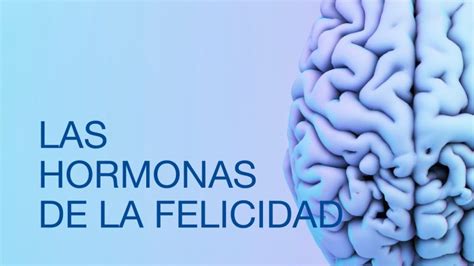 Hormonas Que Se Liberan Al Hacer Ejercicio Actualizado Noviembre 2022