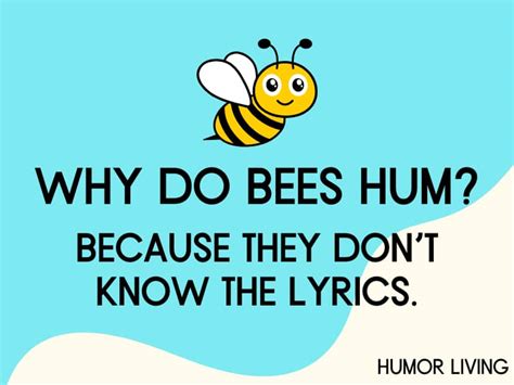 Funny Insect Jokes To Bug You With Laughter Humor Living