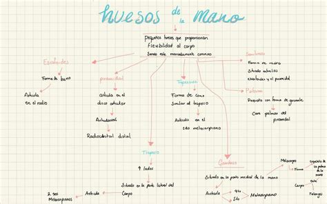 Huesos De La Mano Leylani Camino Udocz