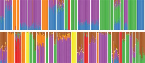 Can An Algorithm Identify Disease Carrying Genetic Mutations To Help Predict Survival