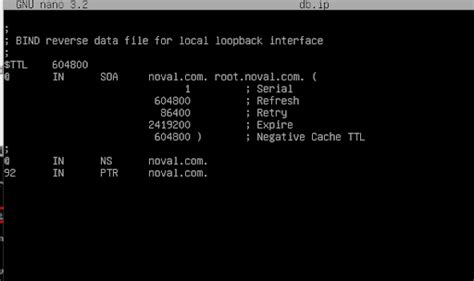Cara Install Dan Konfigurasi DNS Server Pada DEBIAN 9