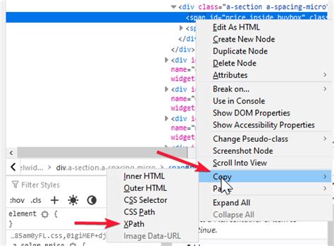 Xpaths In Web Scraping And Their Relevance