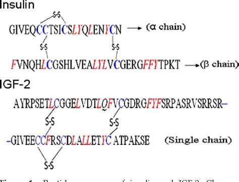 Figure 1 From Mass Spectrometric Determination Of Ilpr G Quadruplex