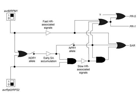 Boolean Representation Of Signaling Network The Binary Switches Used To Download Scientific