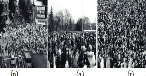 P R Images From The Crowd Images Dataset Download Scientific Diagram