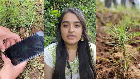 Geographic Information Systems For Indigenous Forests And Communities Fsc Indigenous Foundation