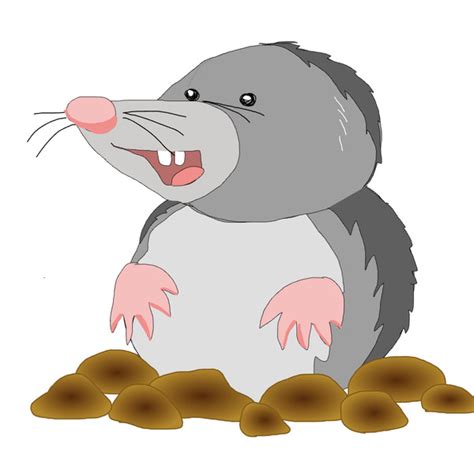 Nd Science Teaching Resources Teachers Pay Teachers