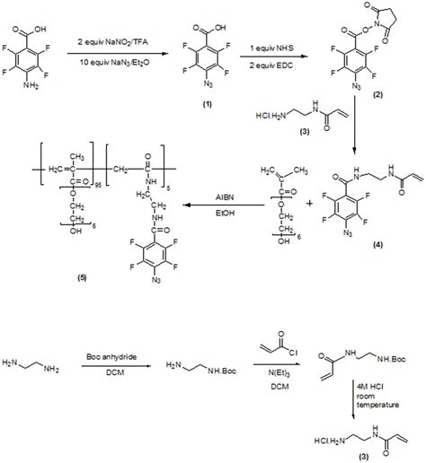 Synthesis Scheme For Photo Reactive Peg Download Scientific Diagram