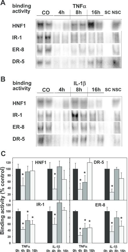 Effect Of Tnf And Il 1 On Dna Binding Activity At Mouse Regulatory Download Scientific Diagram