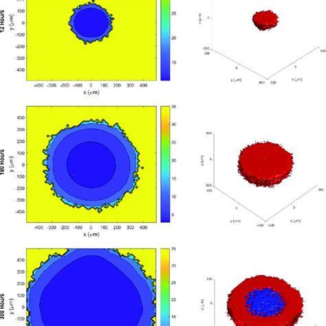 The Cellular Automaton Model Of Sclc Growth And Necrosis A Growth Of