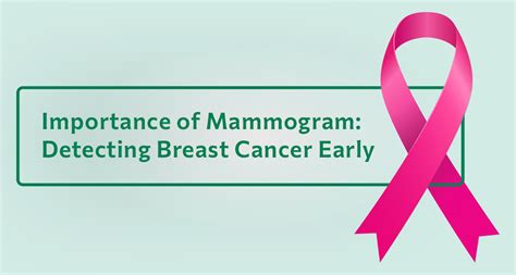 Importance Of Mammogram Detecting Breast Cancer Early Aarthi Scans