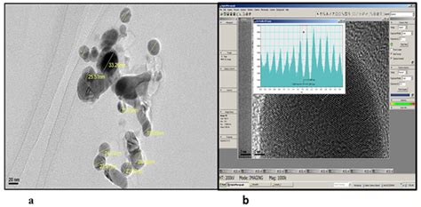 The Tem Investigation A The Particle Size Of Silver Nanoparticles B