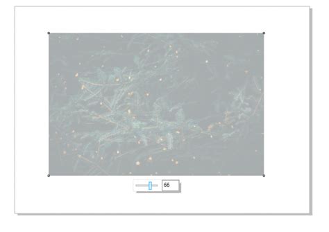Cdr怎么把颜色调透明 Cdr颜色透明度快捷键 Coreldraw中文网站