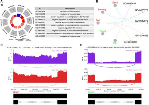 Distinct Microglia Alternative Splicing In Alzheimers Disease Figure