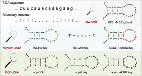 Lncfinder An Integrated Platform For Long Non Coding Rna
