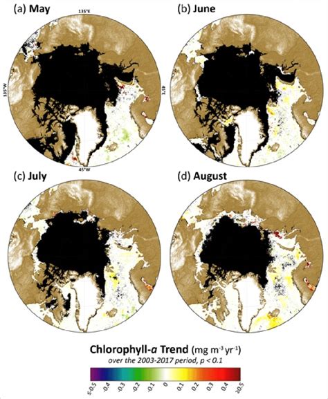 Linear Trends In Satellite Based Chlorophyll A Data Across The