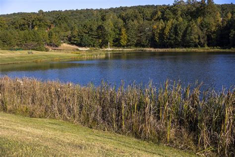Cloudy Pond Water Caused By Clay Turbidity Can Be Remedied Alabama