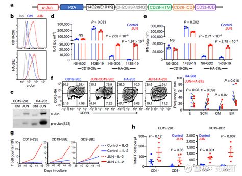 Nature And Cell 揭示car T开发新思路 以下文章来源于赛多利斯实验室 ，作者陈老湿 嵌合抗原受体t细胞免疫疗法，car T疗法