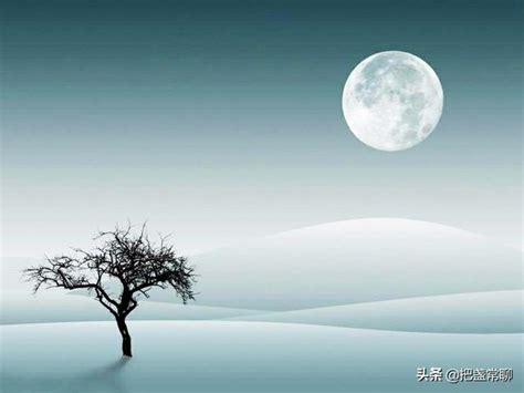 当年明月为什么不写了当年明月为什么被威胁当年明月大山谷图库