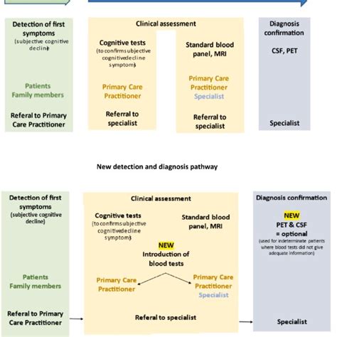 Current And New Detection And Diagnosis Pathways Download Scientific Diagram