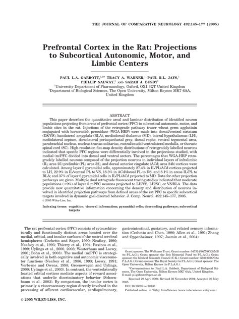 Pdf Prefrontal Cortex In The Rat Projections To Subcortical