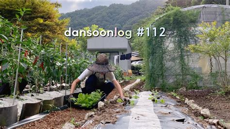 Sub 단순로그112 여름과 가을 사이 슬기로운 시골 텃밭 생활 Vlog Youtube