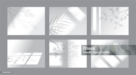 창과 식물 그림자 세트 밝은 잎과 가지 벽 모형 야자수 잎 그늘 유기농 흰색 햇빛 오버레이 효과 여름 회색 식물 햇빛 벡터 기하학적 배경 0명에 대한 스톡 벡터 아트 및