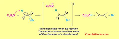 Zaitsev Rule Vs Hofmann Rule Easy Statement And Examples Chemistry Notes