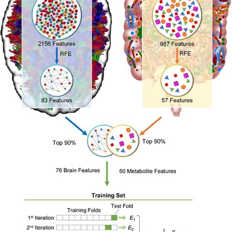 Recursive Feature Elimination Graph Of Brain Network Metrics A And
