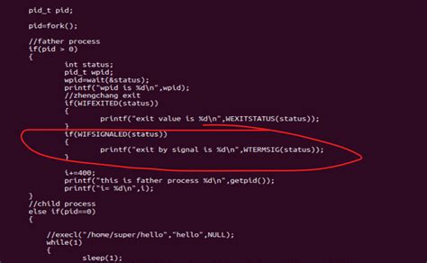 Linux学习七——进程回收使用waitpid回收进程资源 Csdn博客 Linux学习七——进程回收使用waitpid回收进程资源 Csdn博客
