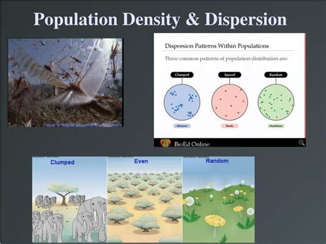 PPT Population Changes In Density And Size PowerPoint Presentation Free Download ID 1997818