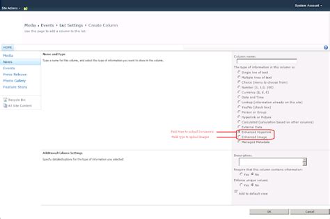 Sharepoint Blog Custom Field Type In Sharepoint 2010