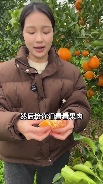 最后的耙耙柑了哟春见爆汁耙耙柑 春见耙耙柑 Youtube