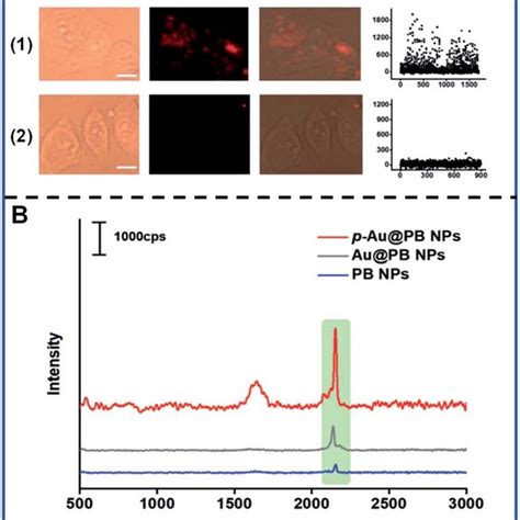 The Raman Mapping Of Multiple Cancer Cells A And The Raman Spectra Of
