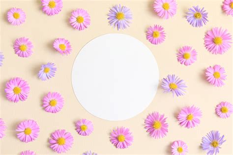 베이지색 배경에 분홍색과 보라색 꽃 과꽃의 세련된 테두리 프레임과 빈 종이 시트 봄과 여름 인사말 카드 템플릿입니다 플랫 레이