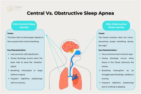 What Is Central Sleep Apnea Causes Symptoms And Treatments