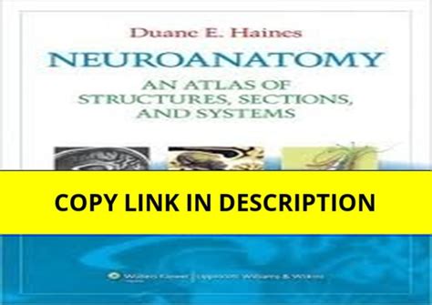 Ppt Read⚡ Neuroanatomy An Atlas Of Structures Sections And Systems