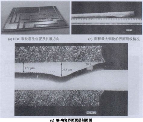 Dbc Cmpe