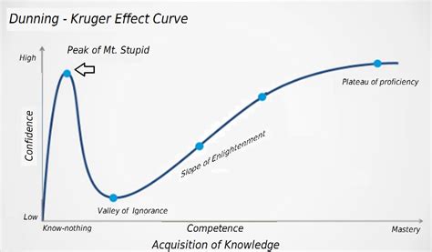 Dunning Kruger Effect Graph Hosted At Imgbb — Imgbb
